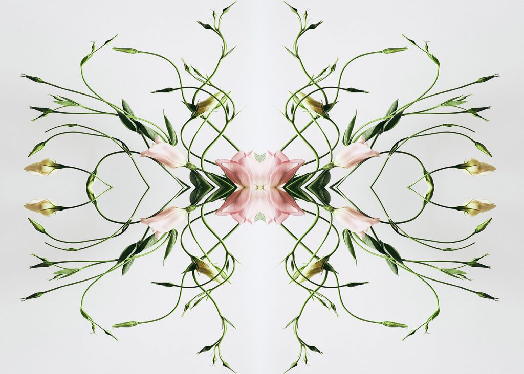 Erin Derby | Zolan Agency | Premier Global Licensing Agency